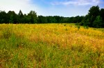 Merrimac Farm Wildlife Management Area | Stephen L Tabone Nature ...