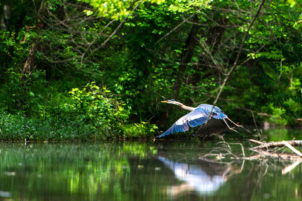 Stephen L Tabone Nature Photography | Fine Art Nature Photography | Page 18