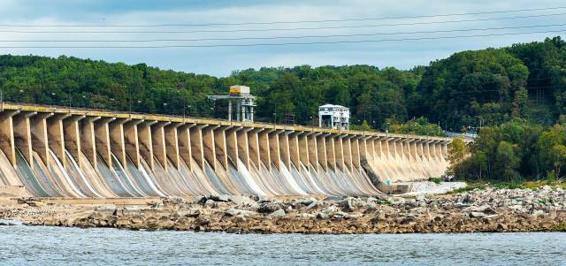 American Bald Eagles at Conowingo Dam | Stephen L Tabone Nature Photography
