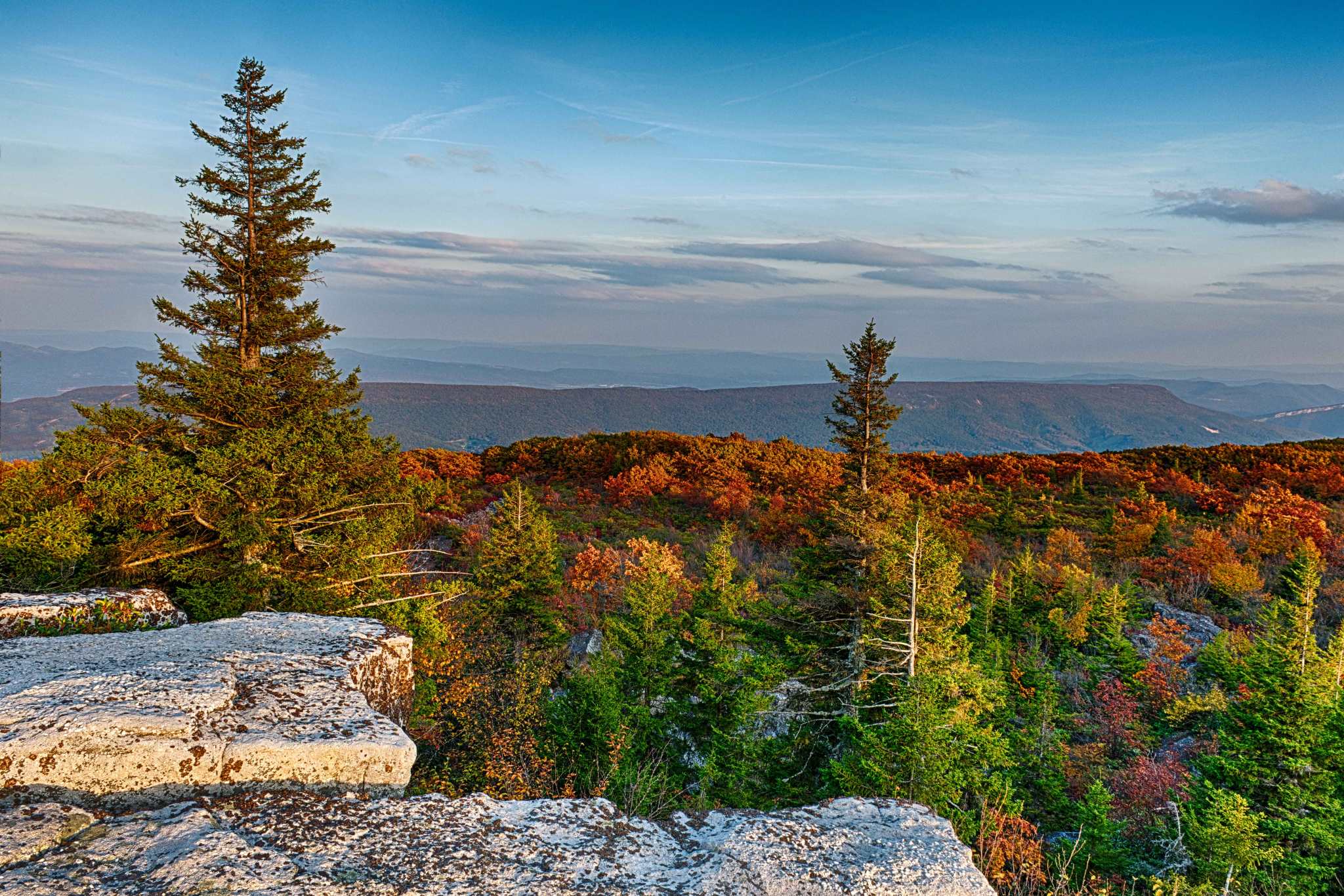 Canaan Valley, West Virginia | Stephen L Tabone Nature Photography