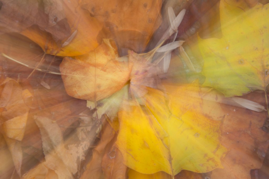 Stephen L Tabone Nature Photography | Fine Art Nature Photography | Page 15