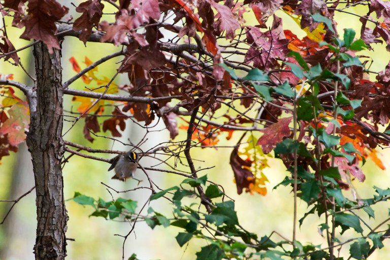 Stephen L Tabone Nature Photography | Fine Art Nature Photography | Page 15