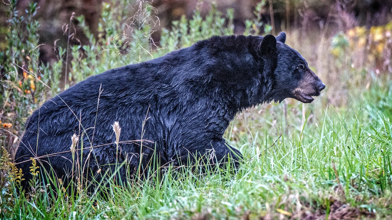 Stephen L Tabone Nature Photography | Fine Art Nature Photography | Page 5