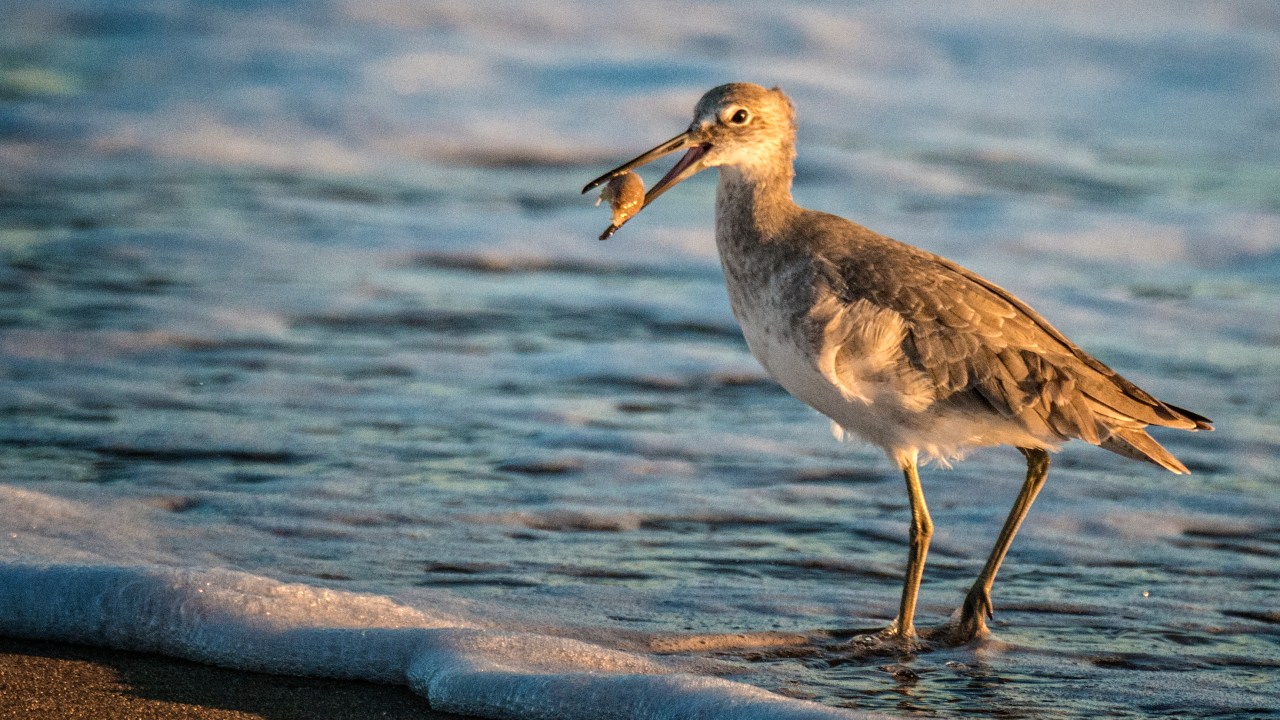 Stephen L Tabone Nature Photography | Fine Art Nature Photography | Page 5