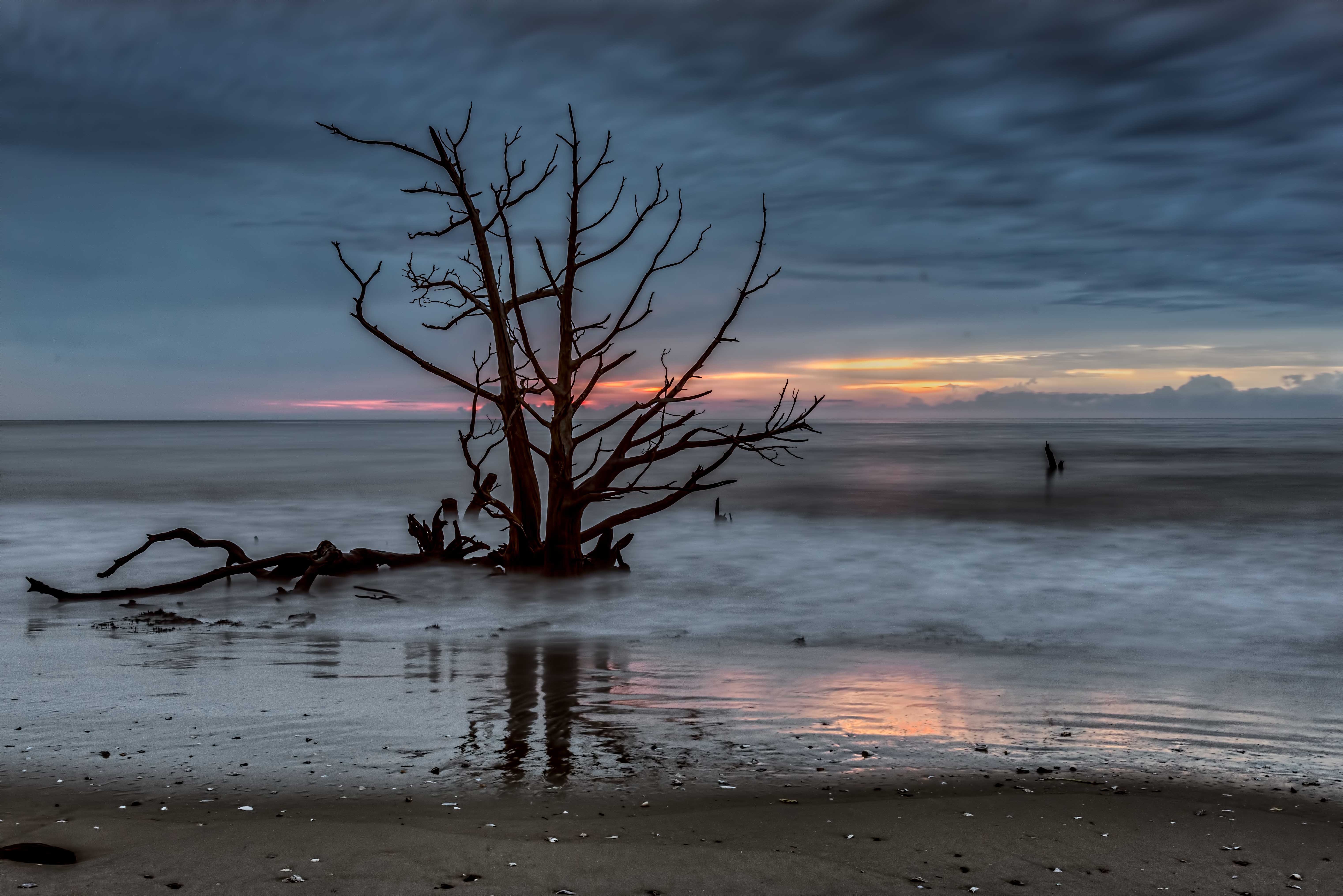 Stephen L Tabone Nature Photography | Fine Art Nature Photography | Page 3