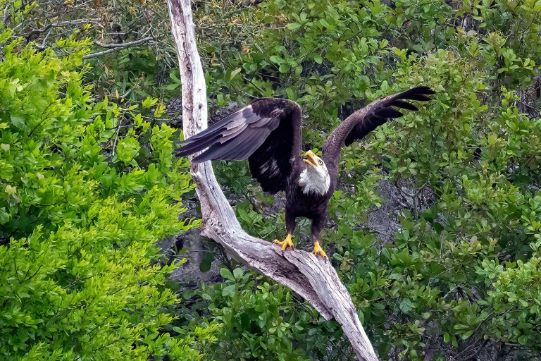 Stephen L Tabone Nature Photography | Fine Art Nature Photography